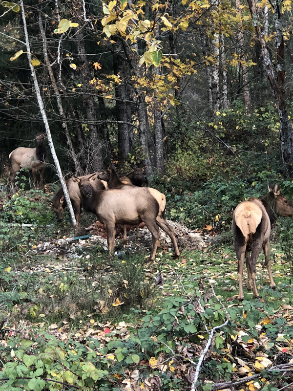 IMG 3473 — Postimages