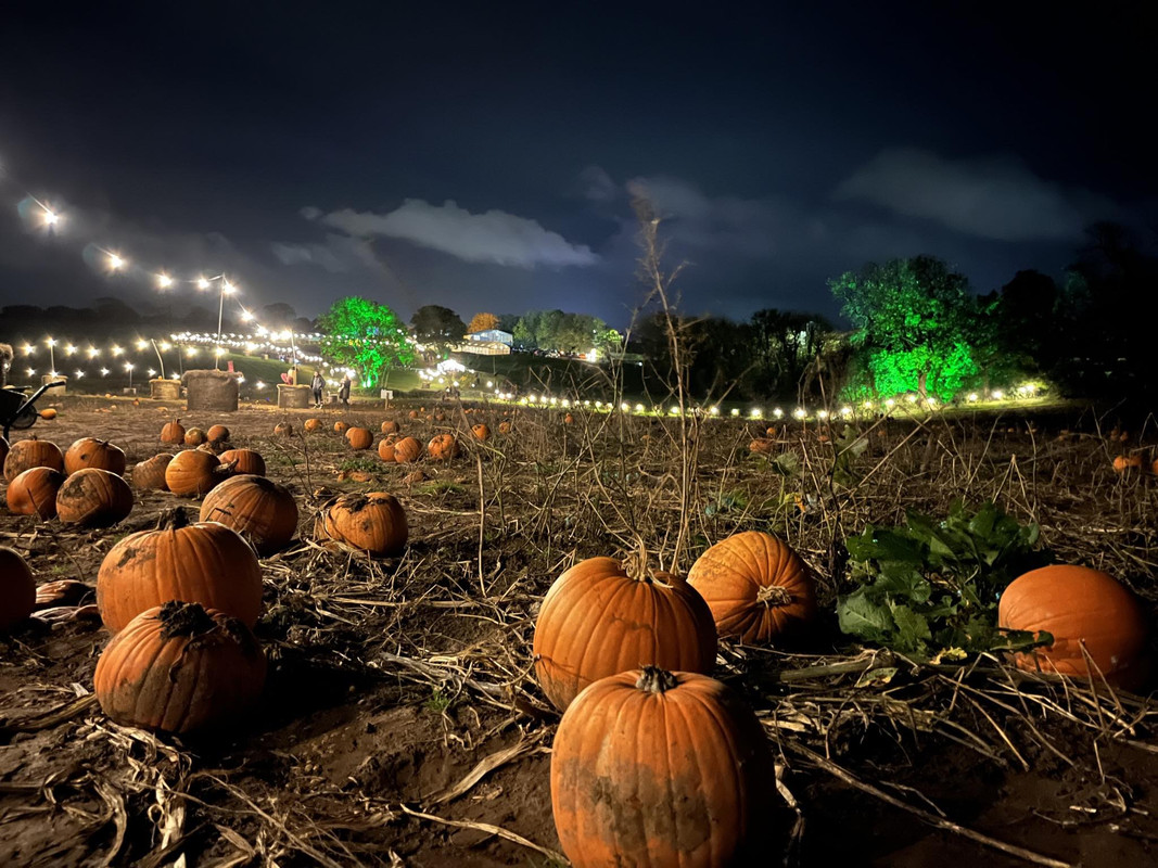 The 20+ best Halloween events in Cardiff 2023 | Skiddle