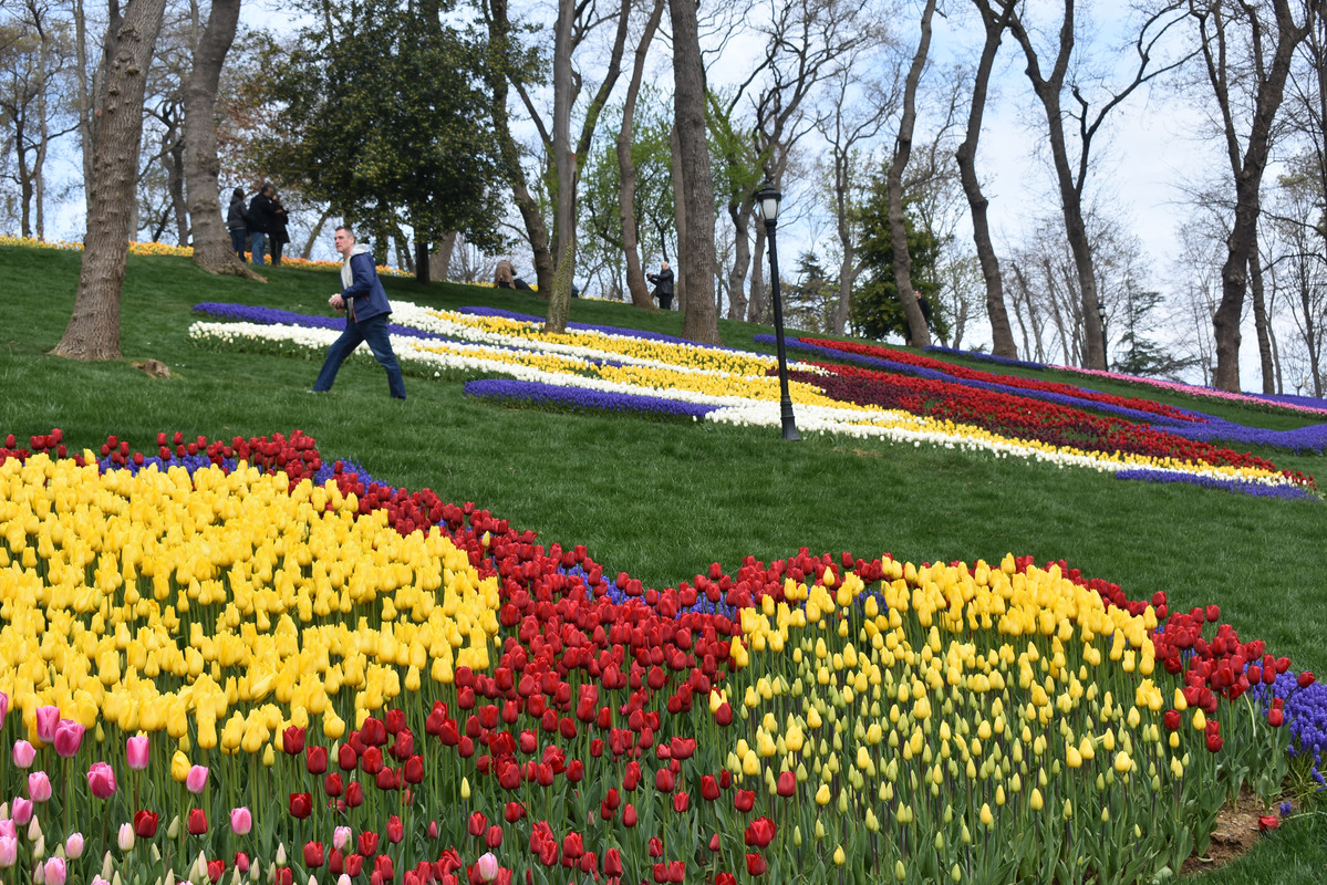 DSC 0601 — Postimages