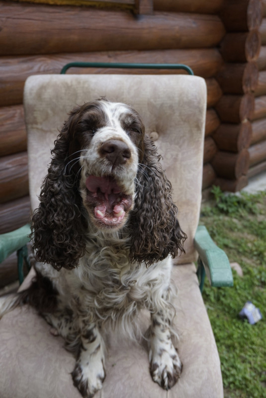 DSC3674 — Postimages