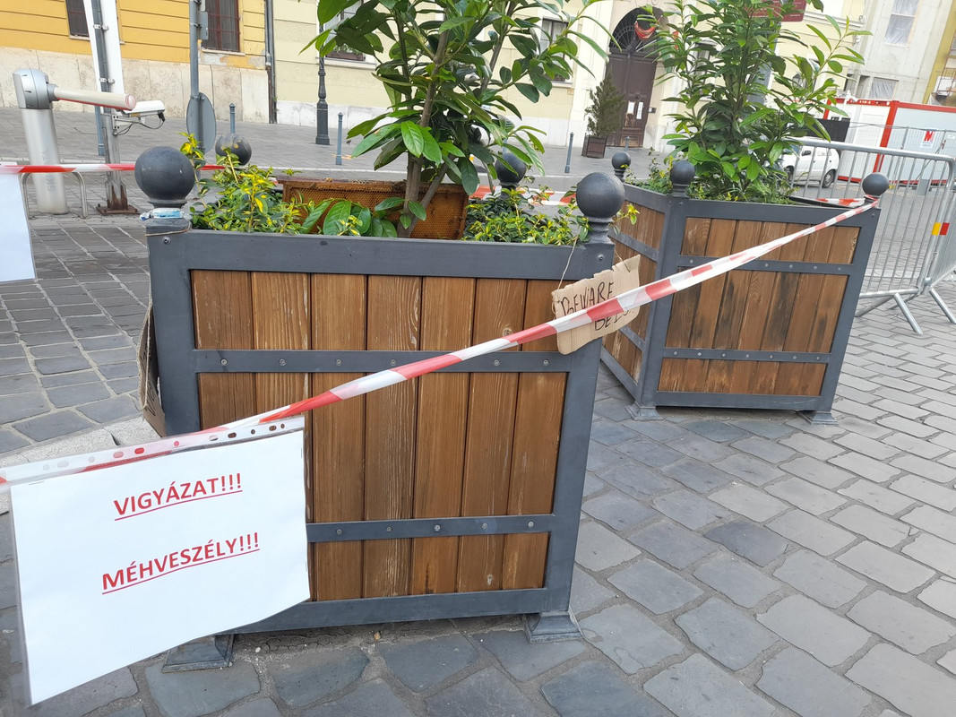 20230522 174427 — Postimages