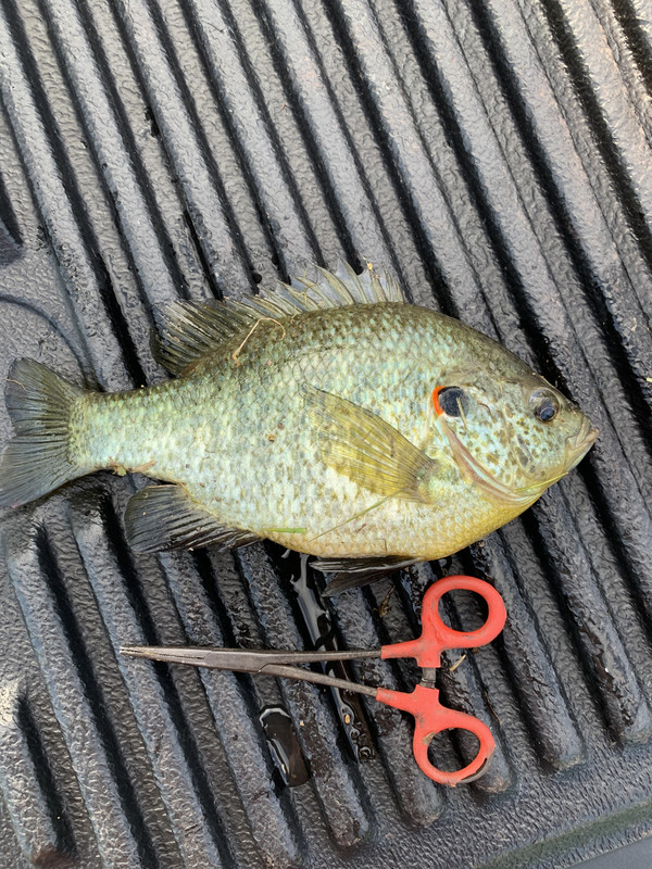 C887 E8 EC B1 D2 44 DD BEBF C1911702 E8 AA — Postimages