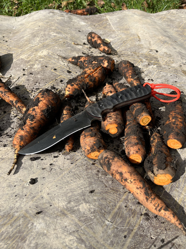 455 CB919 6 BFA 4650 8262 B05 E95848 BB0 — Postimages