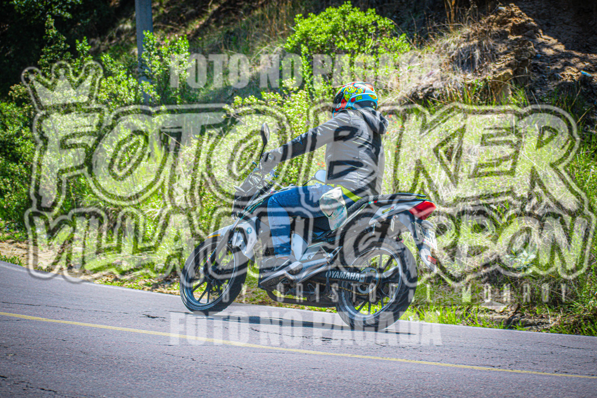 sab10 110 — Postimages