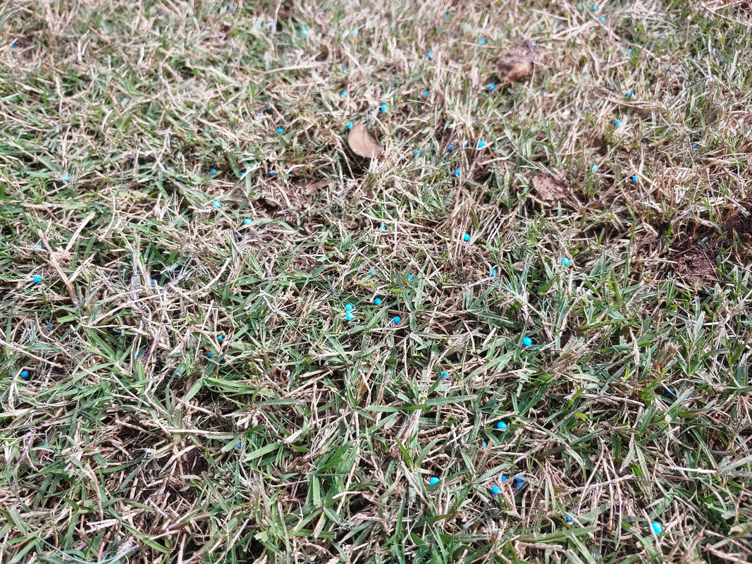 09 Fert — Postimages