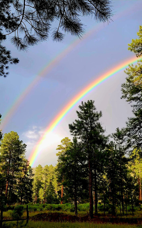 image000000(5) — Postimages