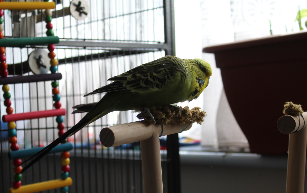 20230813152444 IMG 0815 — Postimages