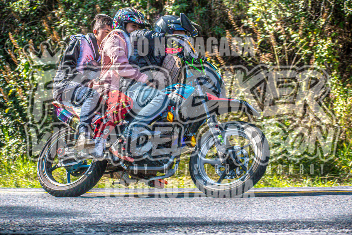 C1P1 127 — Postimages