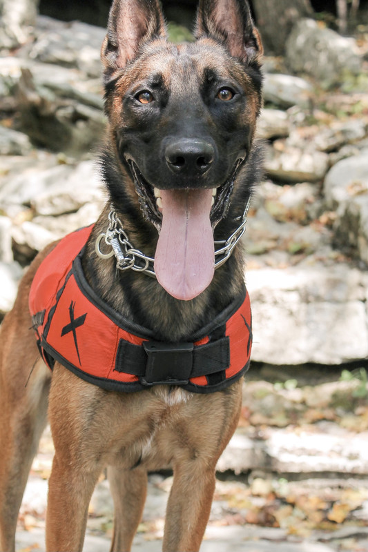 IMG 0480 — Postimages