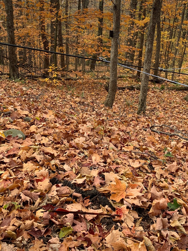 IMG 0203 — Postimages