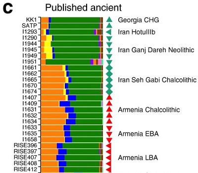 DNA of 'West Eurasian' people in 1 overview according to the studies of ...