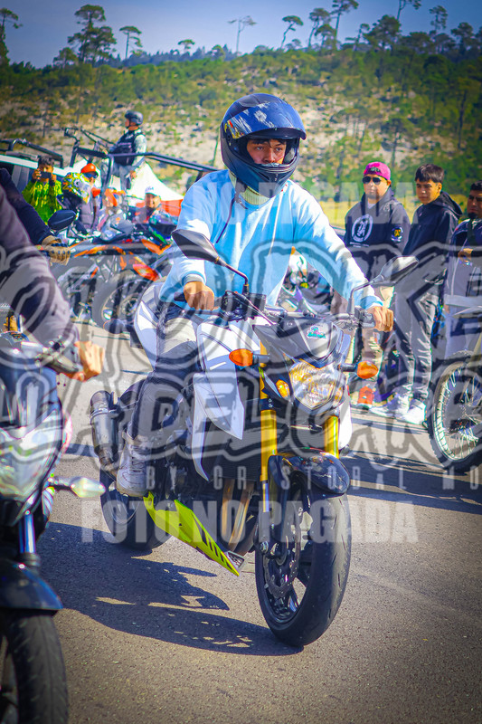 PL2 2038 — Postimages