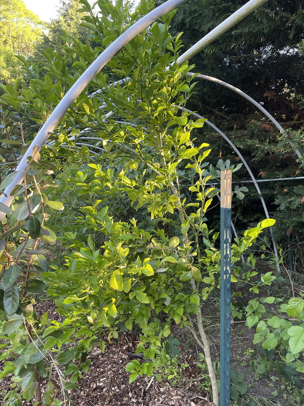 temp Imageu H1q Zj — Postimages