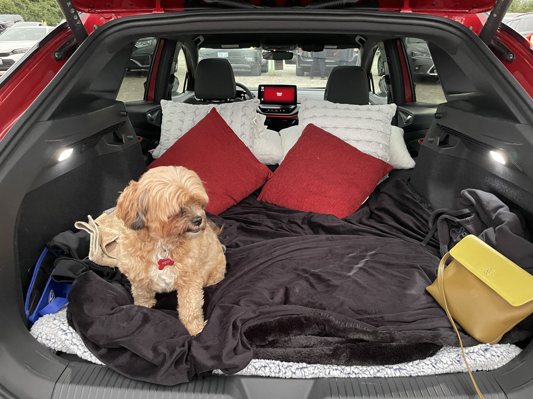 The probably-useless guide for using your ID4 for a drive-in movie (or ...