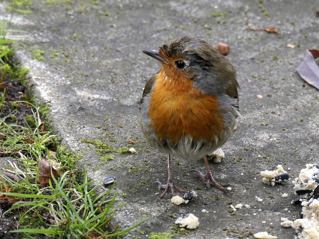 tn 1010067 001 — Postimages