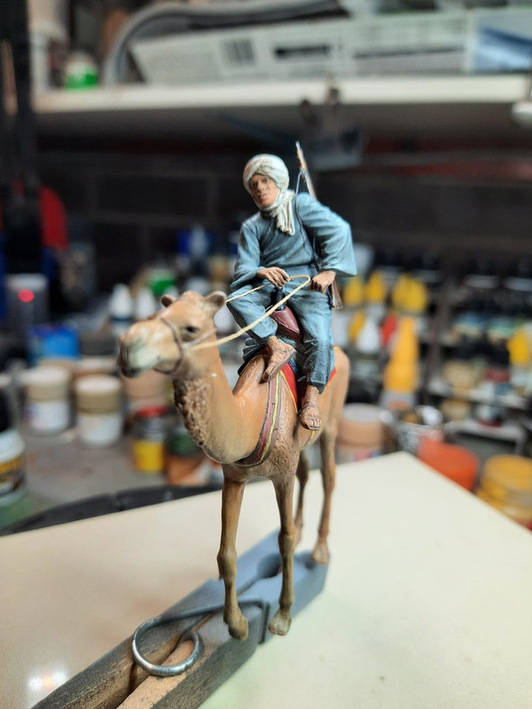 1/35 Camel and rider - Figure Work In Progress - Britmodeller.com