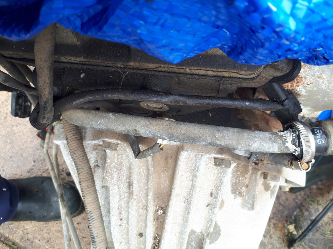 Rear Of BA BF Head1 — Postimages