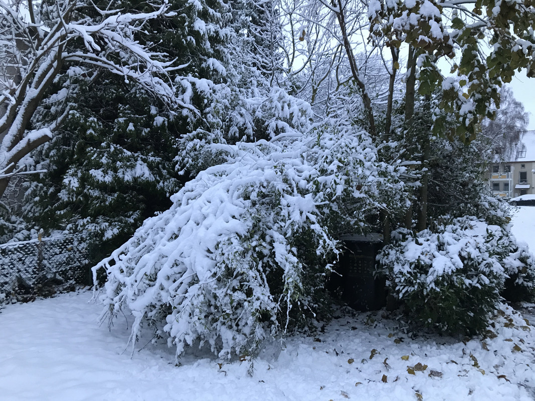 4652 D0 DA 0 BA9 483 E 8 C5 F 57 C6959 A91 BD — Postimages