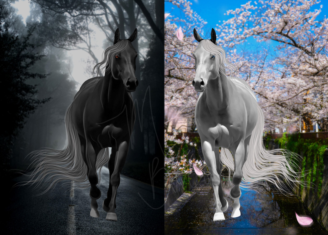 wolf comm wip — Postimages