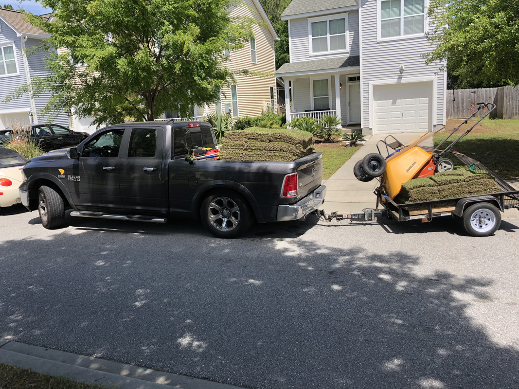 Checkerboarding Sod | Lawn Care Forum