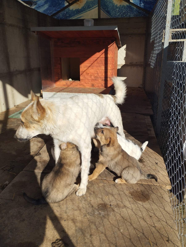 IMG 0145 — Postimages