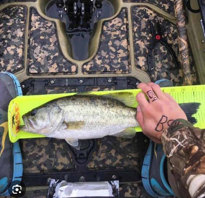 Cheater Caught Altering Fish at Sealy Big Bass Splash - Tournament Talk ...