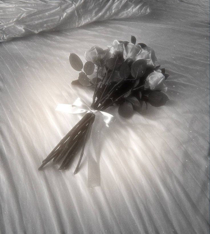 Check pinned please | Quotev