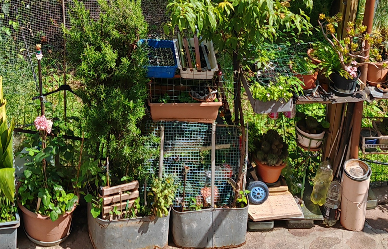 IMG 20230608 152010 edited — Postimages