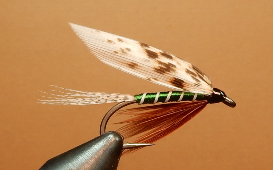 Gunnison - Fly Tying - Maine Fly Fish