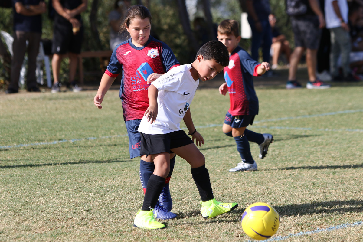 VIK 7299 — Postimages