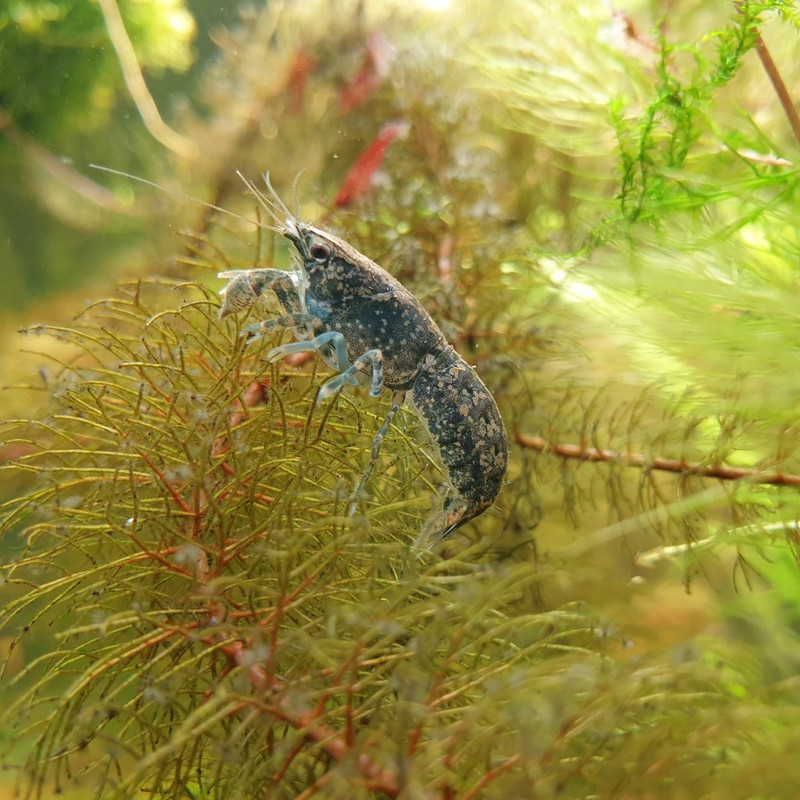 20210311 235455 — Postimages