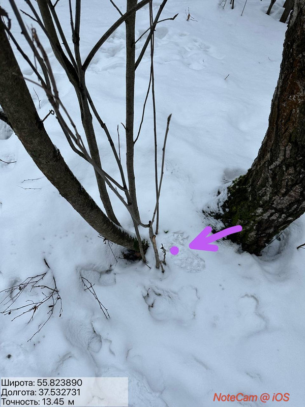 1063119 A 4 FA9 4 B0 C 8955 E2 C75 F209 C03 — Postimages