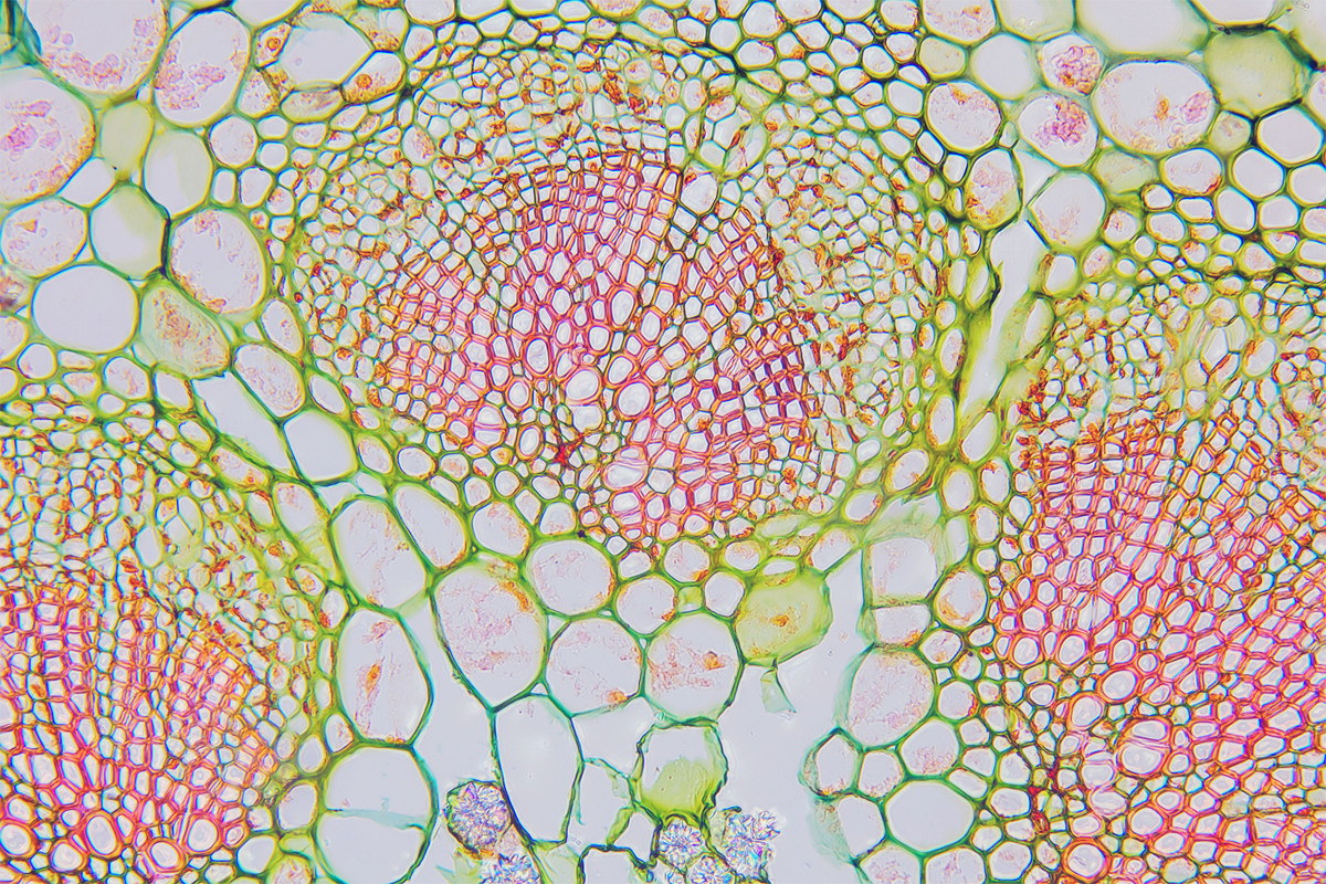 40x DMap TPnd 2048 — Postimages