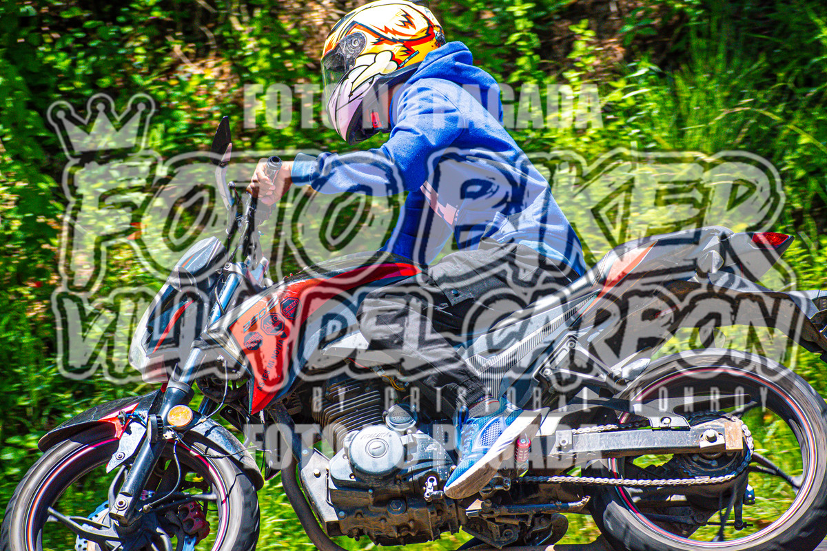 c1p1 393 — Postimages