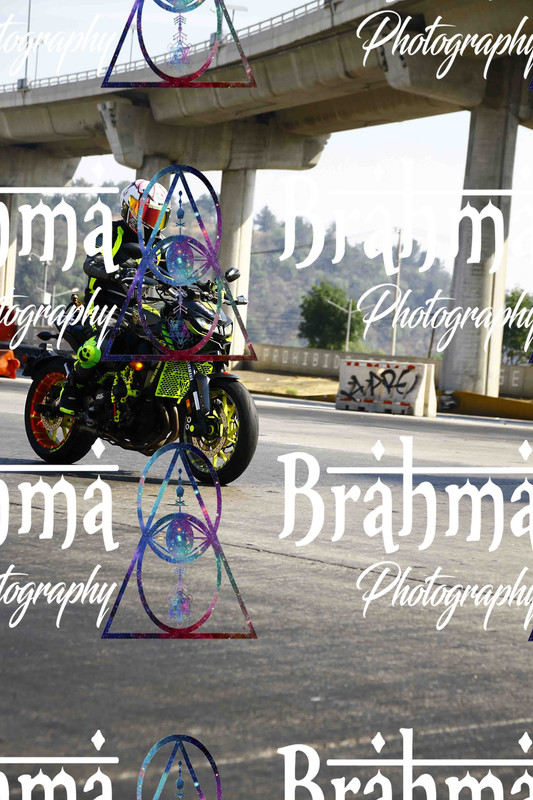 MG 0341 — Postimages