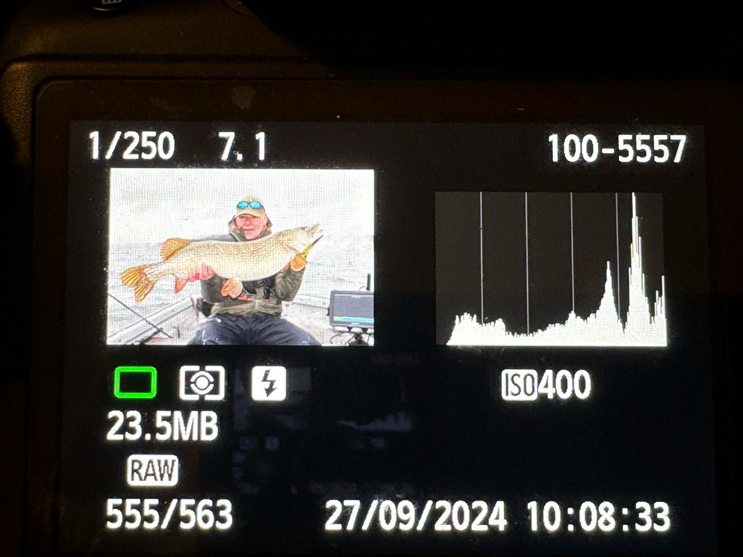 Rutland - Page 2 - The Pikers Pit