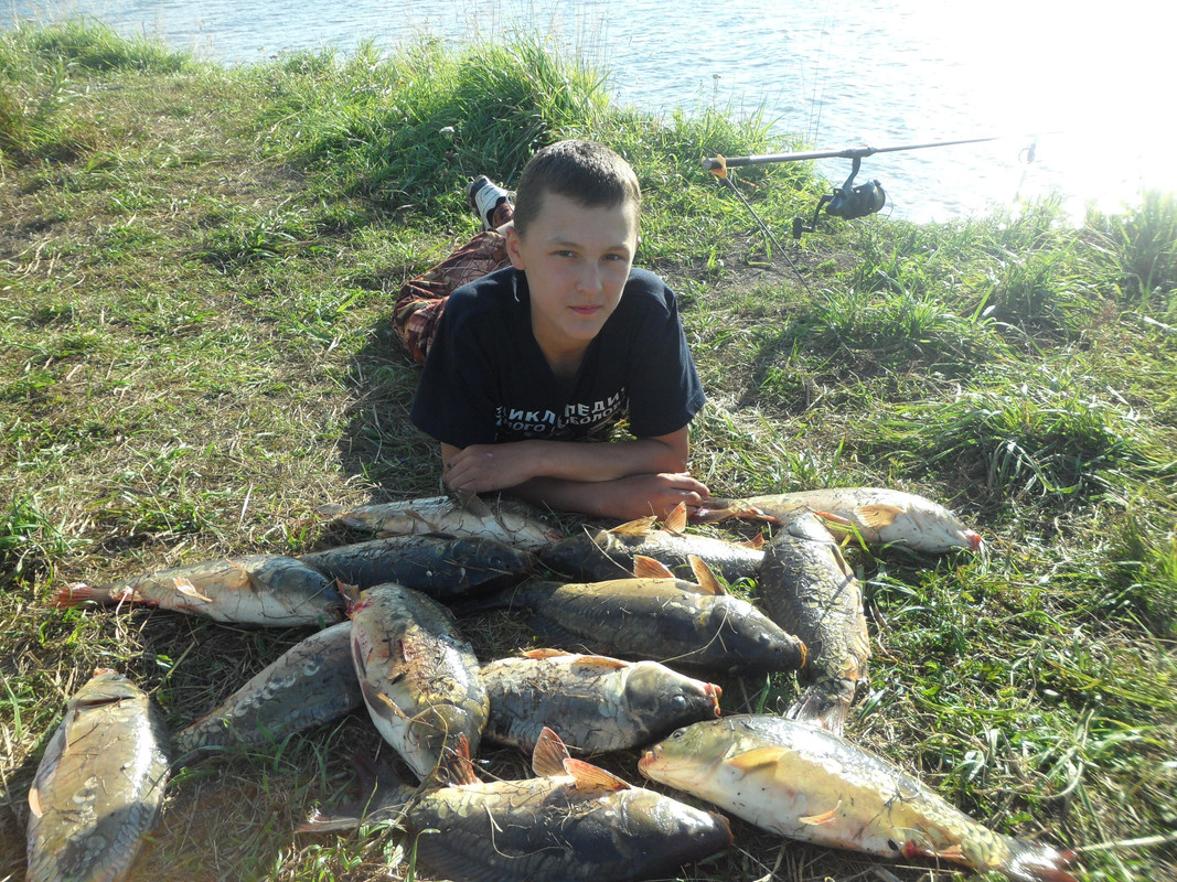 SAM 0798 — Postimages