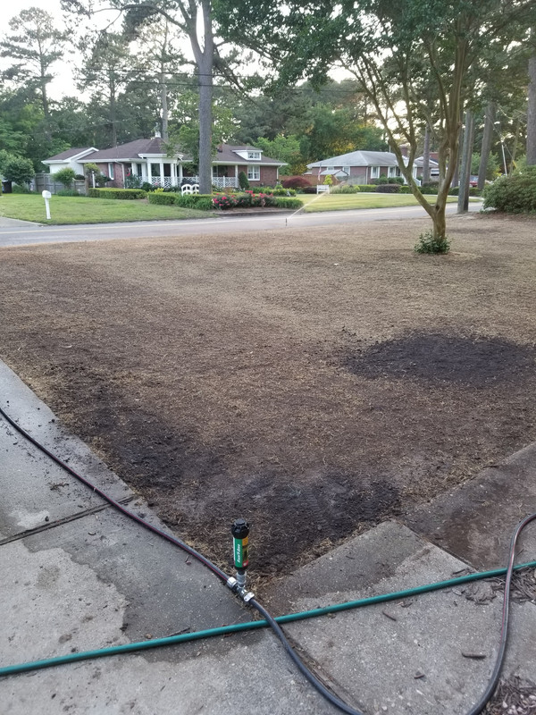 Temporary irrigation system | Lawn Care Forum