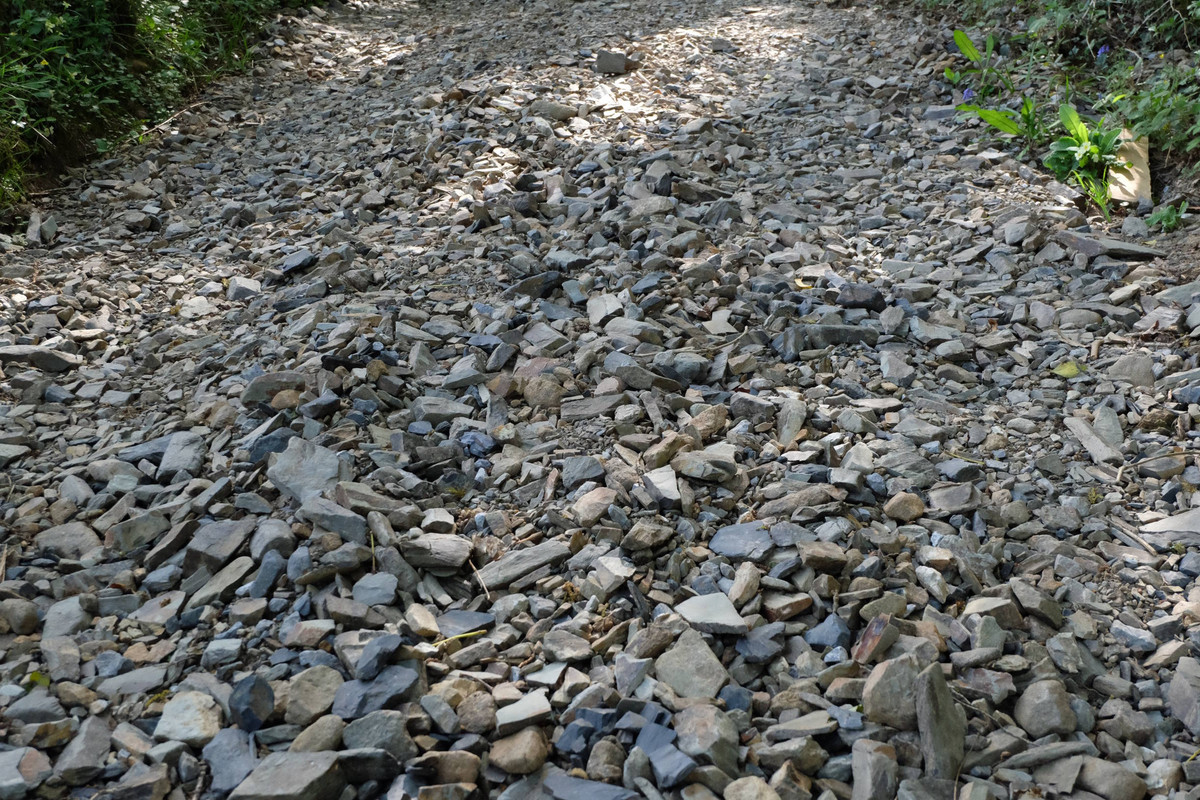 sharp ground 3 sc — Postimages