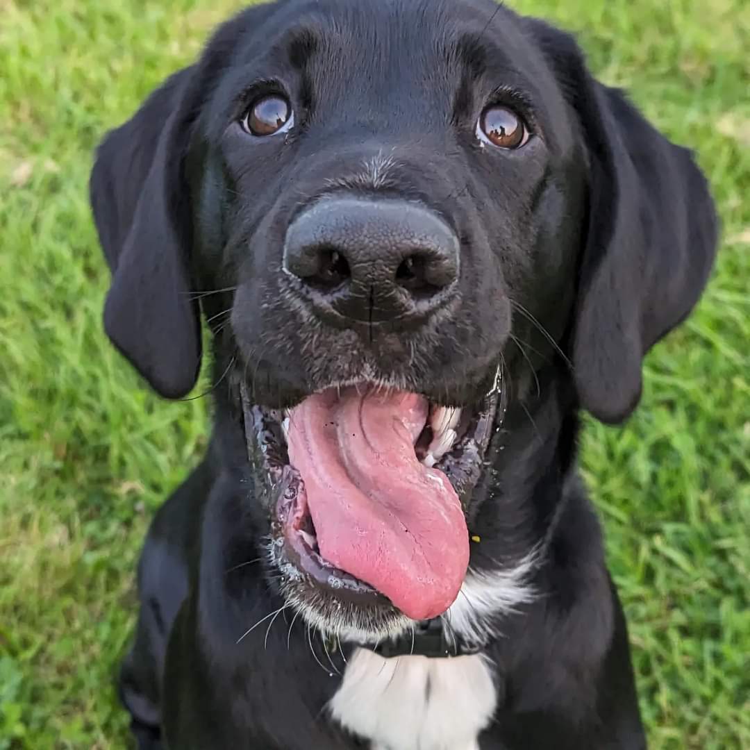 FB IMG 1695573273125 — Postimages