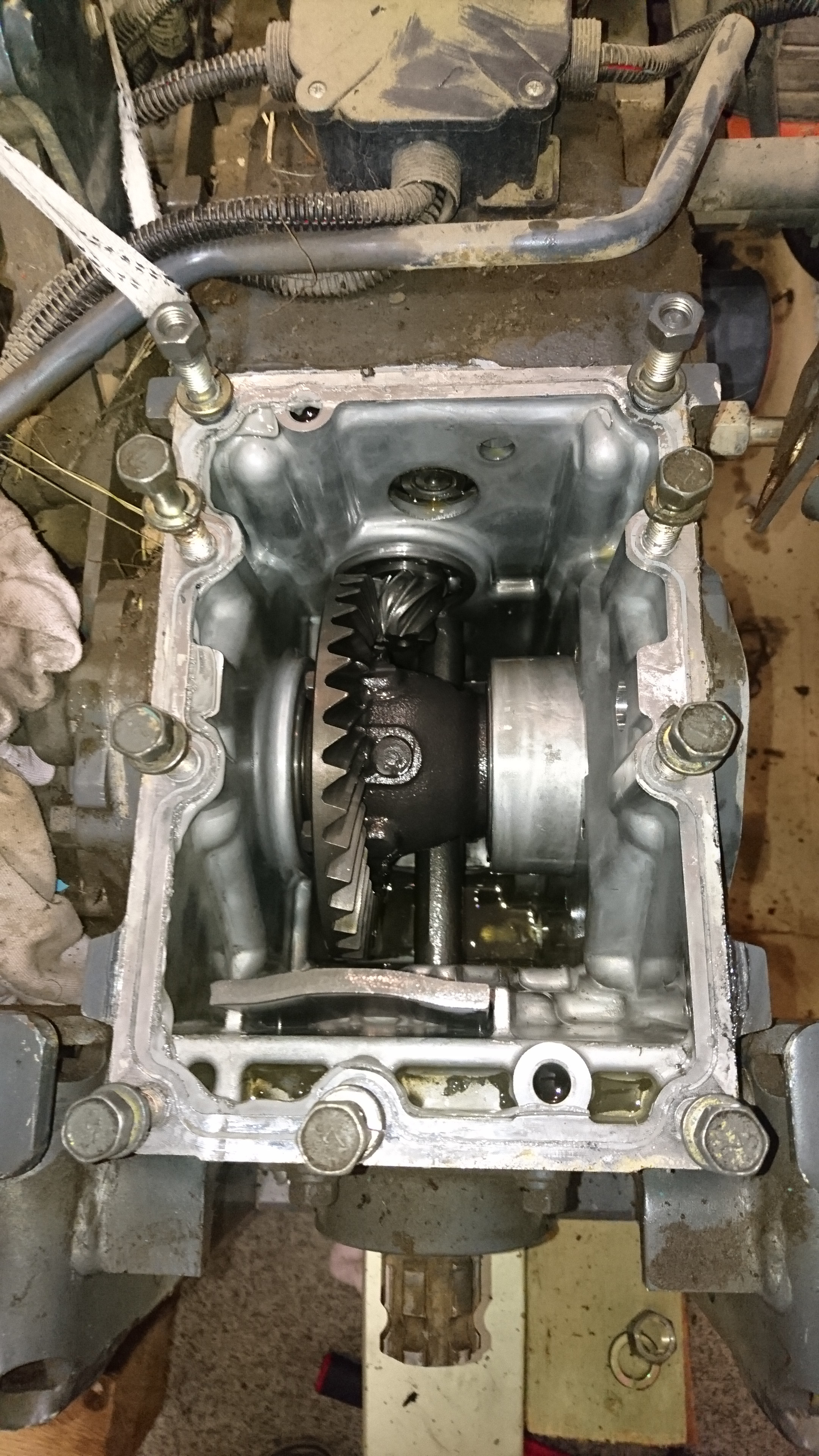 DSC 0245 — Postimages