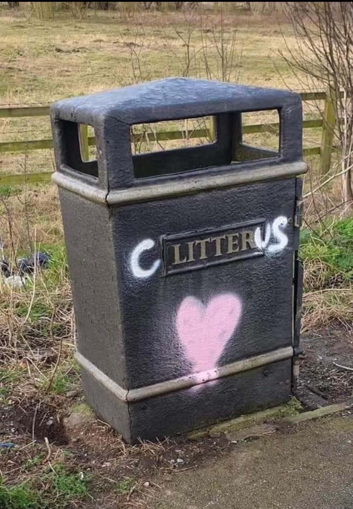 IMG 8238 — Postimages