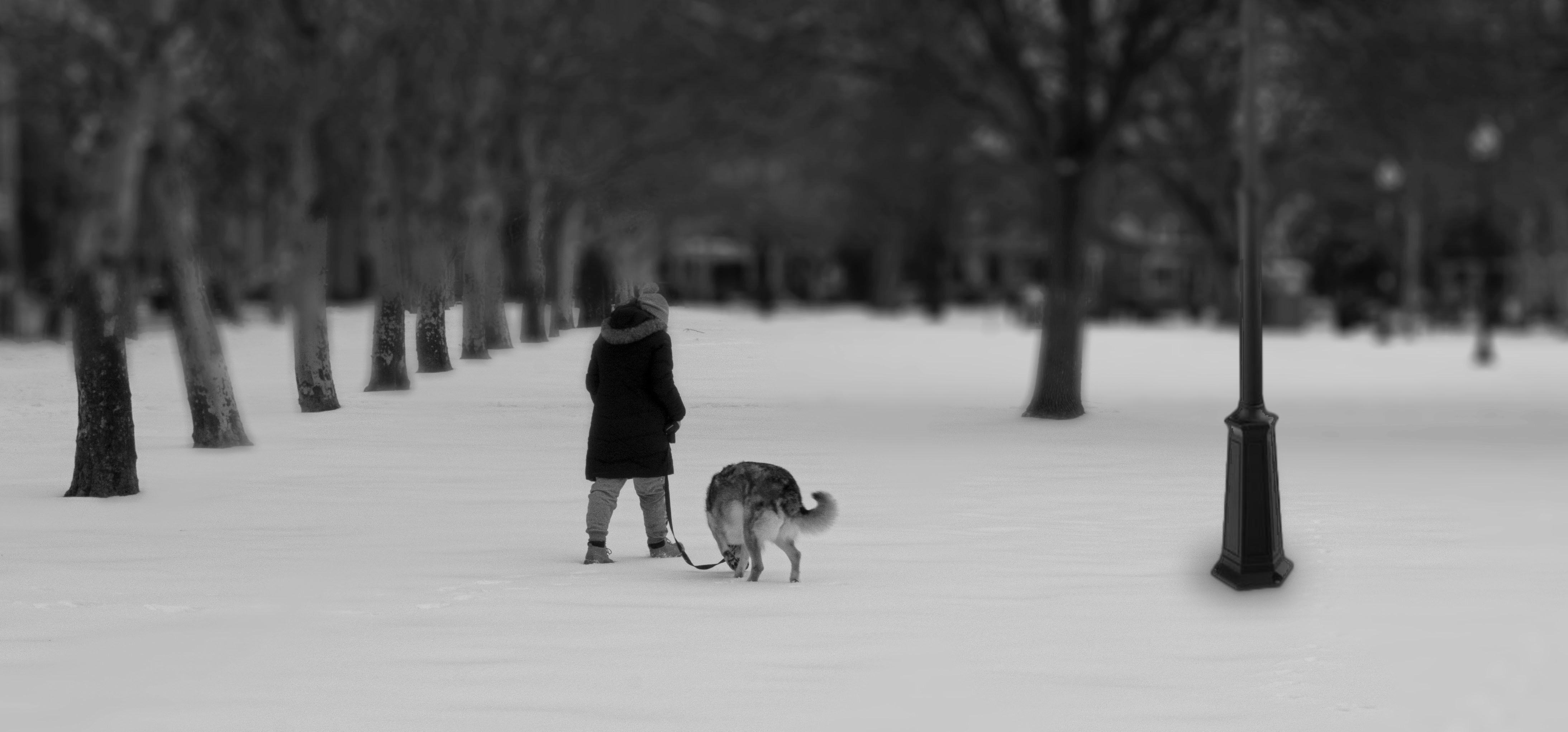 z39ixiky2ul81 copy — Postimages