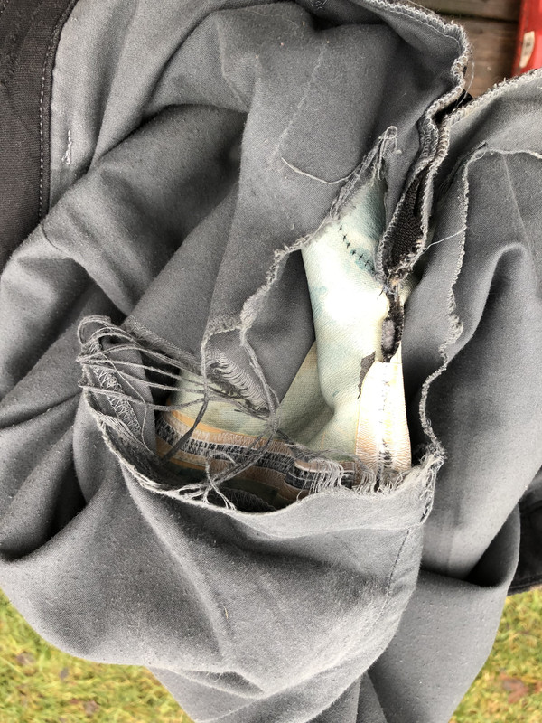 IMG 1674 — Postimages