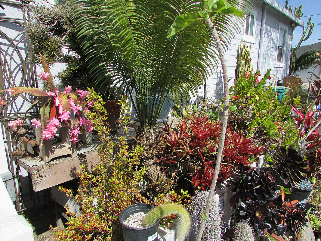 IMG 2110 — Postimages