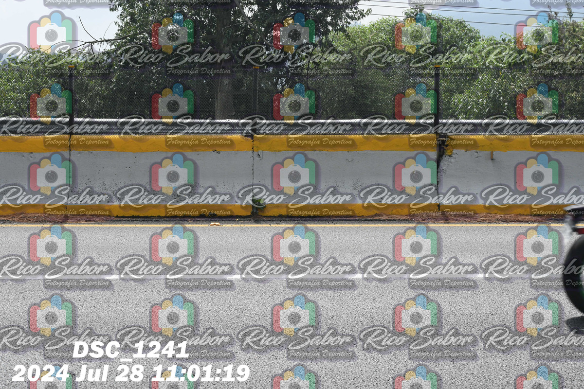 DSC 1241 — Postimages