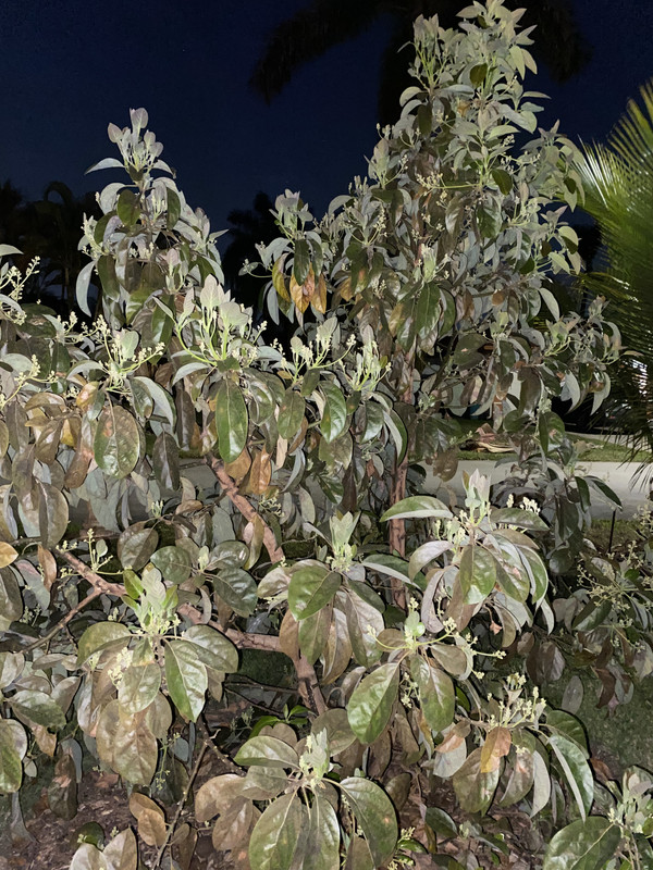 IMG 3443 — Postimages