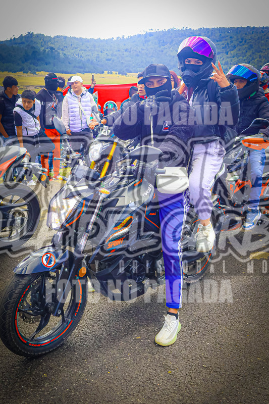 PL2 3008 — Postimages