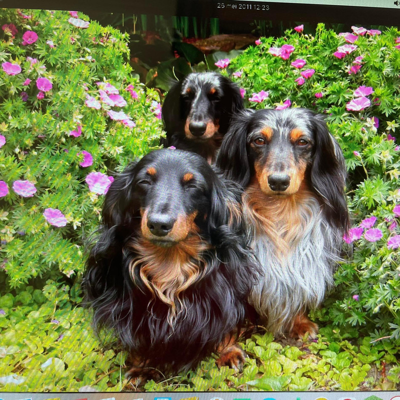 IMG 6424 — Postimages