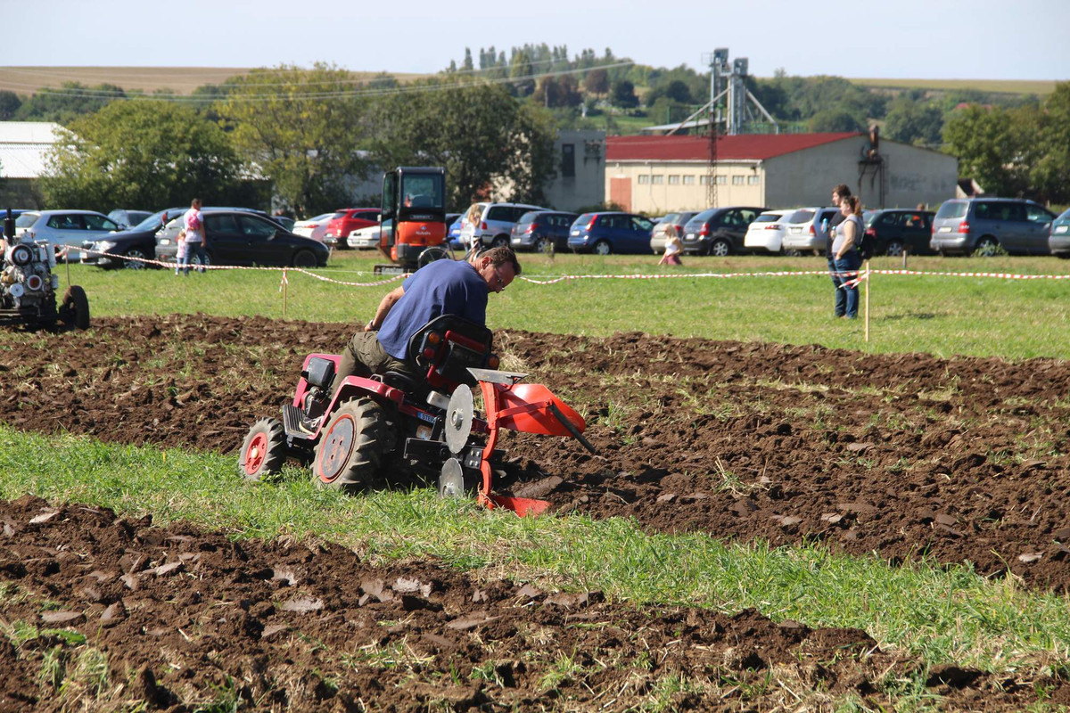 IMG 0902 — Postimages